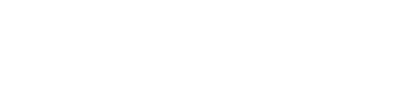 The Forest | Netflix Official Site